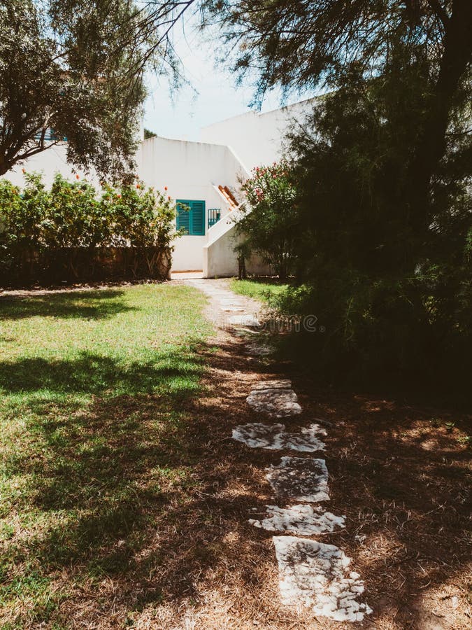 Path in the Shade of Trees Leading To a White Apartment Building Stock ...