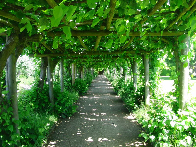 Path shaded by trees stock photo. Image of shaded, park - 3085292