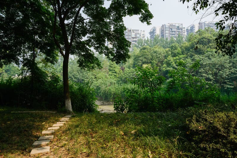 Path in Shady Riverside Lawn on Sunny Summer Day Stock Image - Image of ...