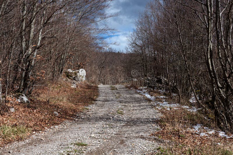 Path of Slavnik stock image. Image of meadow, people - 334503101