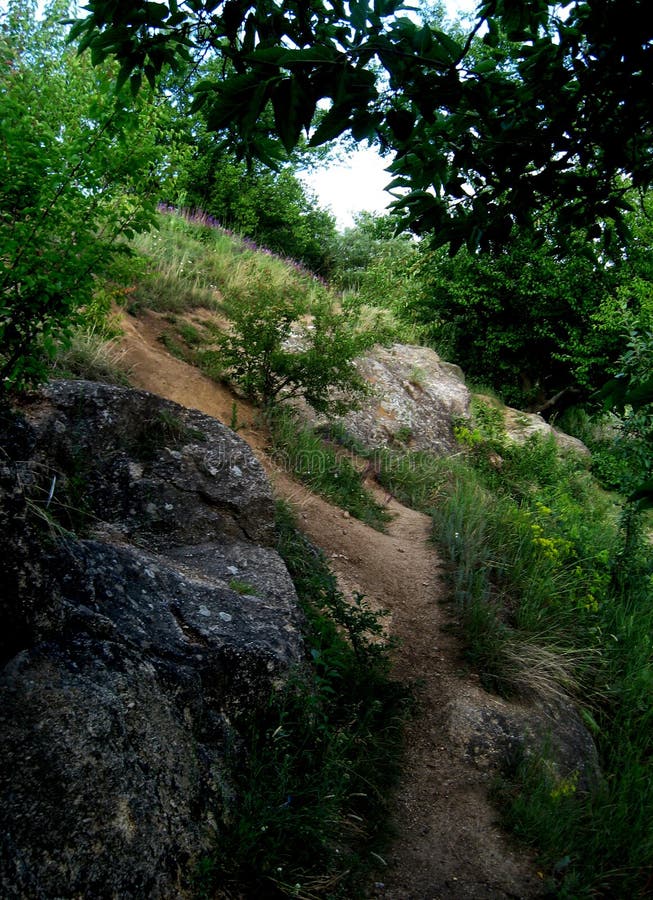 A Path from the Slope of the Rocky Mountain Stock Image - Image of ...