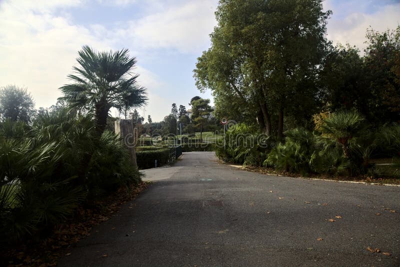 Path with a Small Bridge at the End of in a Park on a Cloudy Day Stock ...