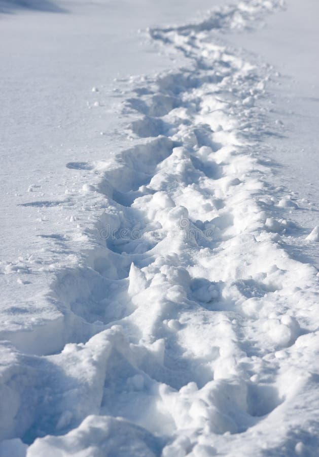 Path in the snow stock photo. Image of seasonal, frosty - 145170688