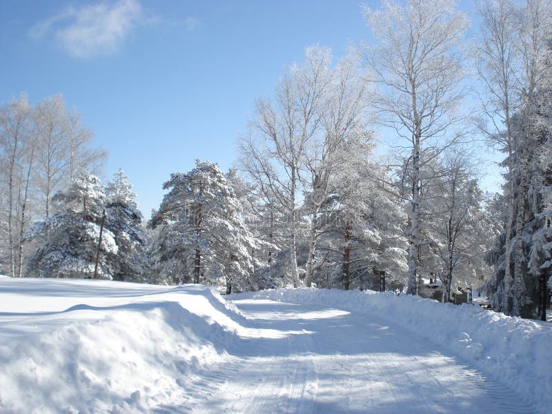 A Path In The Snow Picture. Image: 4402661