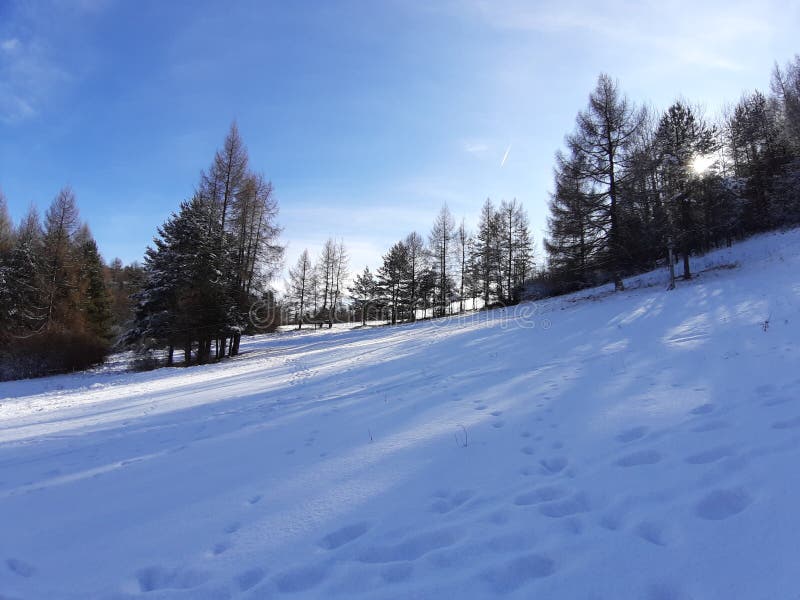 Path in Snow Amaizing Day Trees Ski Stock Image - Image of snow, path ...