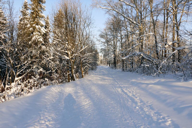 Path in the snow stock image. Image of activities, frozen - 78718437