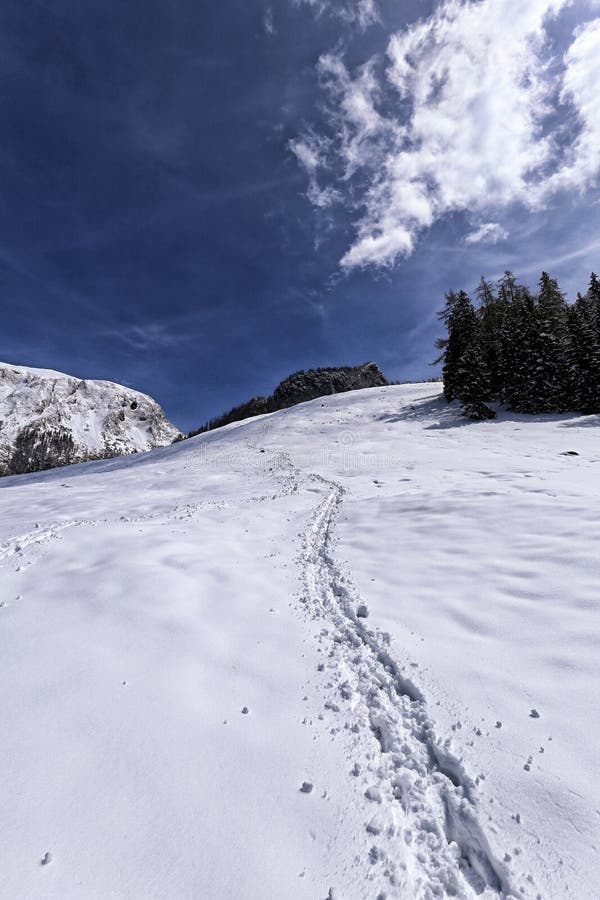 Path in the Snow Covered Steep Mountain Side Stock Photo - Image of ...