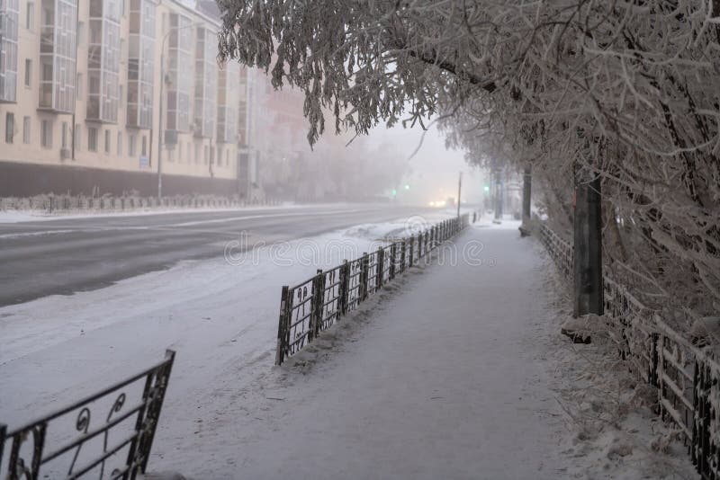 Path in snow stock image. Image of tree, january, steps - 69395