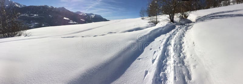 Path in the snow stock image. Image of winter, trail - 81042383
