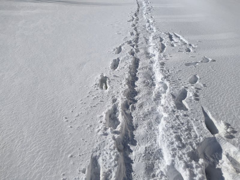 Path through the Snow during the Day. Stock Photo - Image of white ...
