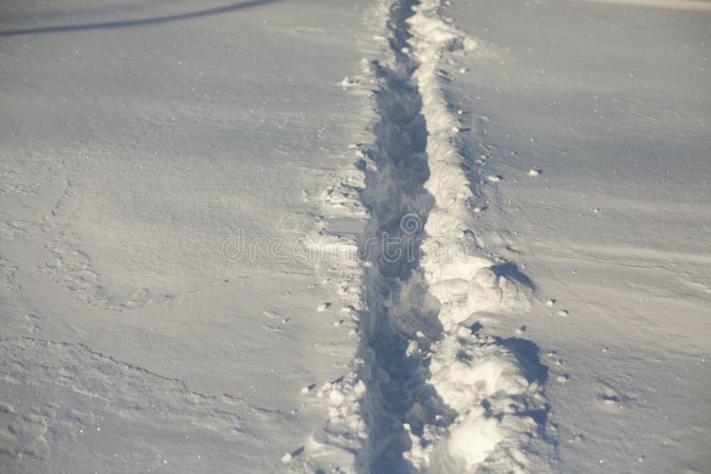 Path in Snow. Path through Deep Snow Stock Image - Image of path ...
