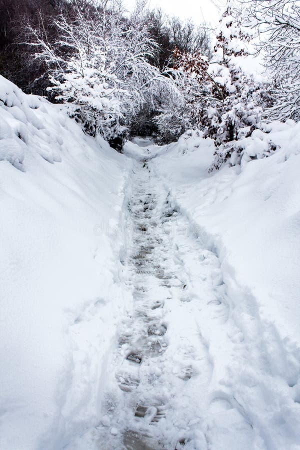Path through Snow stock photo. Image of countryside, white - 54393910