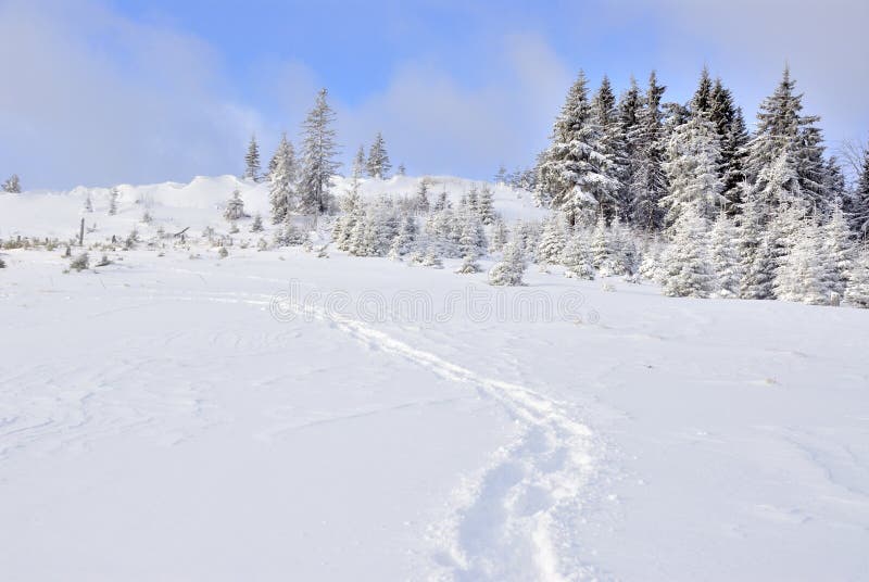 Path in snow stock photo. Image of landscape, pathway - 82219618