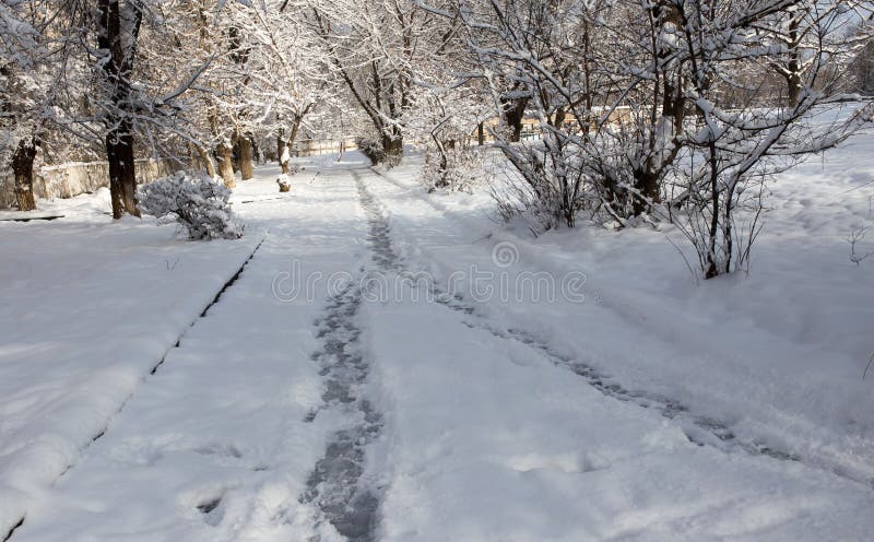 Path in the Snow on the Nature Stock Photo - Image of bright, shade ...