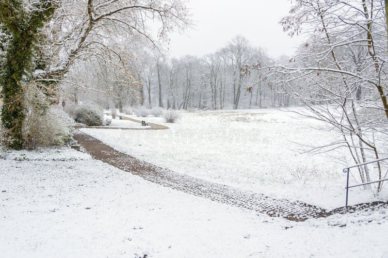 A Path through the Snow in a Park Stock Photo - Image of branch ...