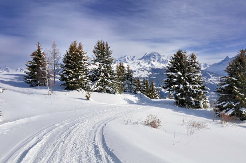 Path in the snow stock photo. Image of europe, mountain - 102231676