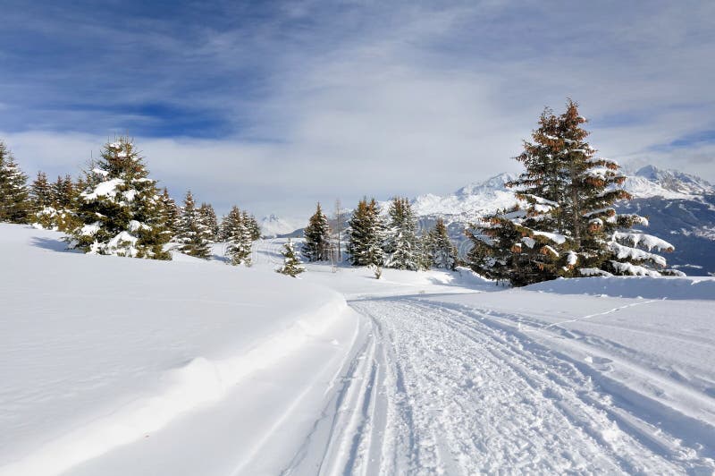 Path in the snow stock image. Image of firs, mountain - 102231815