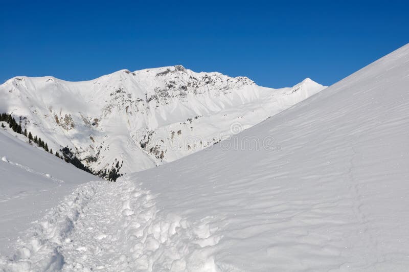 Path in the snow stock image. Image of traces, path, beautiful - 45713473