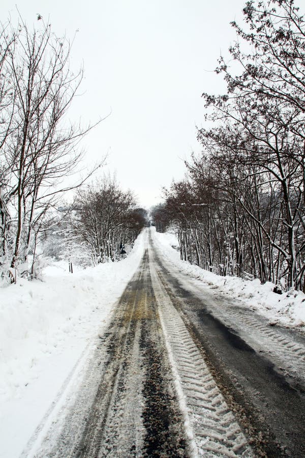A path in the snow stock photo. Image of protected, explore - 37171076