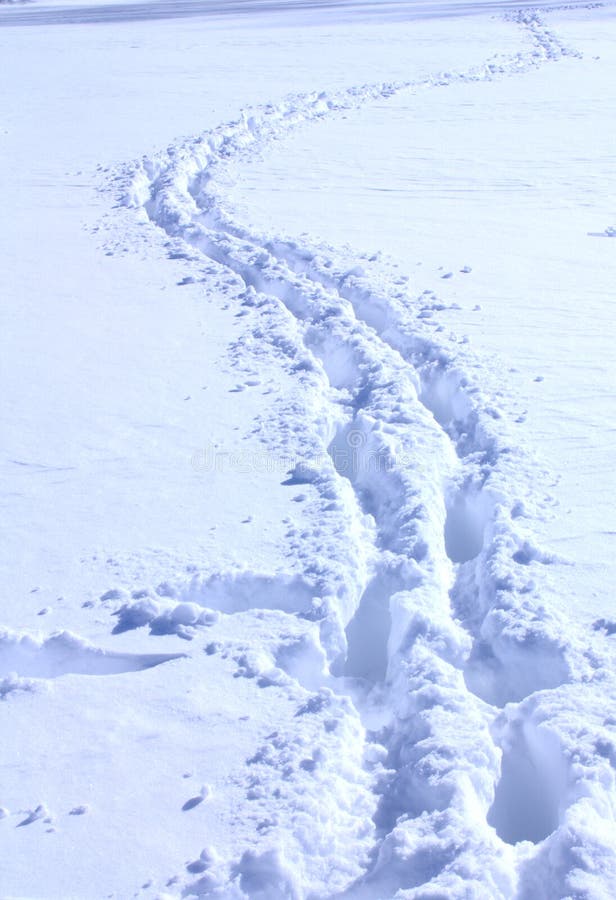 Path in snow stock image. Image of snowy, outdoor, mark - 65876043