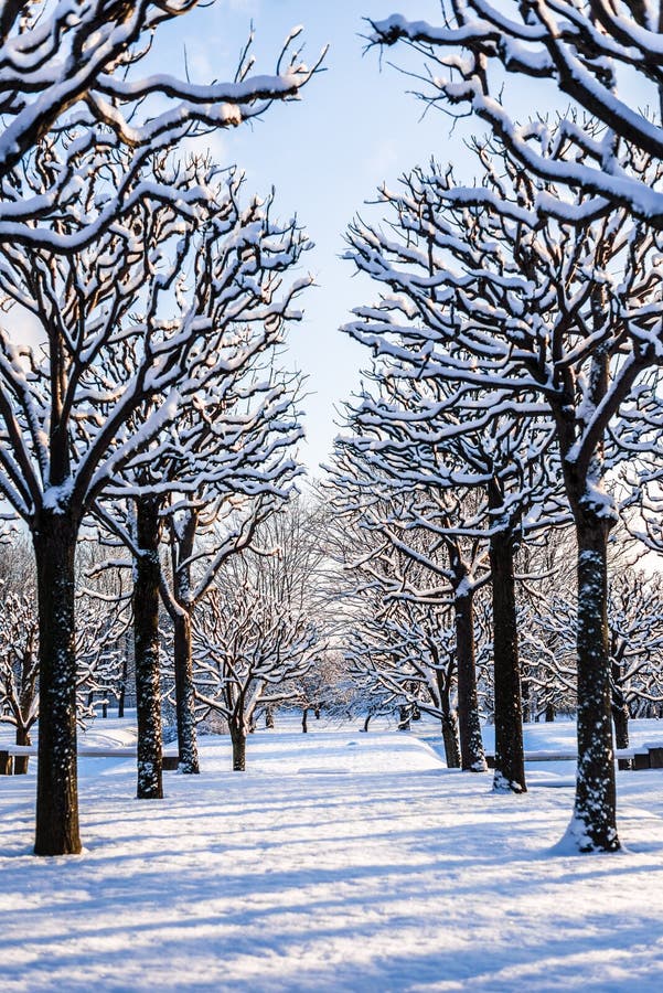 Path in the snow stock photo. Image of frozen, power - 39281646