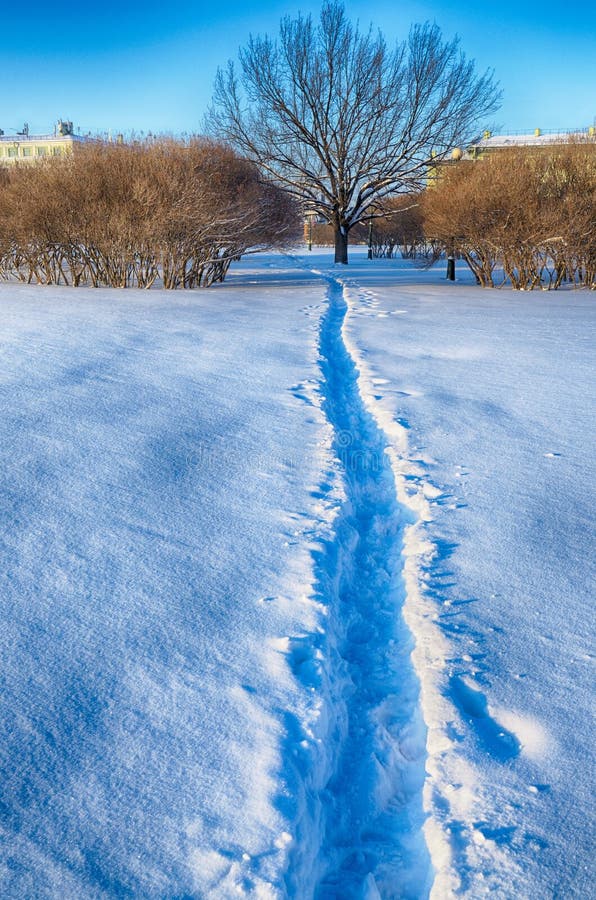 A Path in the Snow Trodden by People Stock Photo - Image of fresh ...