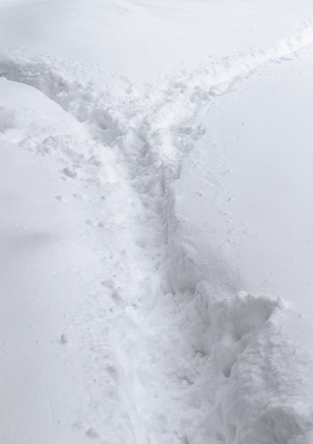Path in the snow stock photo. Image of seasonal, frosty - 145170688