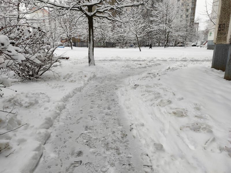 Path in snow stock image. Image of tree, january, steps - 69395