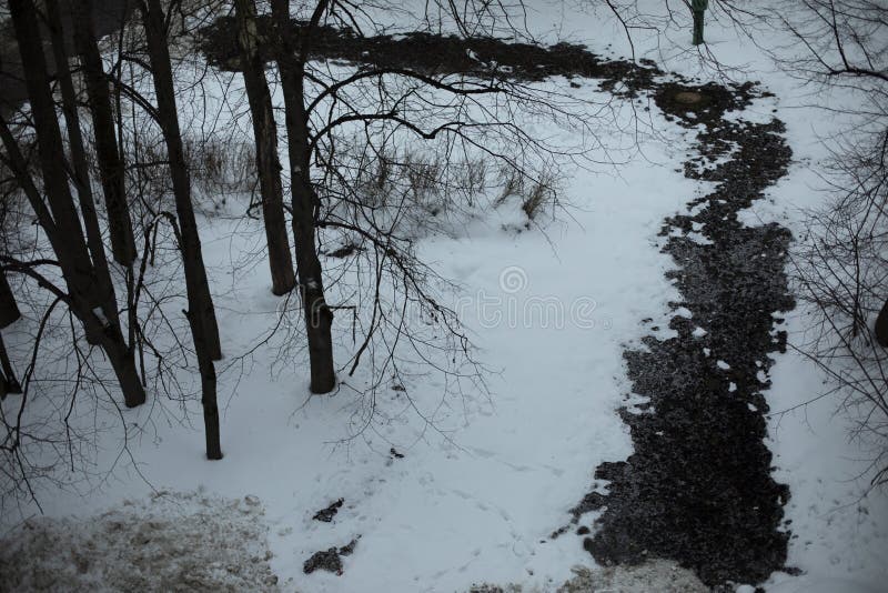 Path in Snow in Yard. Road in Winter in Park Stock Image - Image of ...