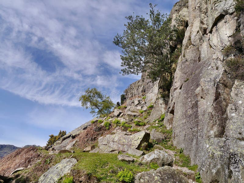 Grassy Path by Rock with Trees Stock Image - Image of pensive, beauty ...