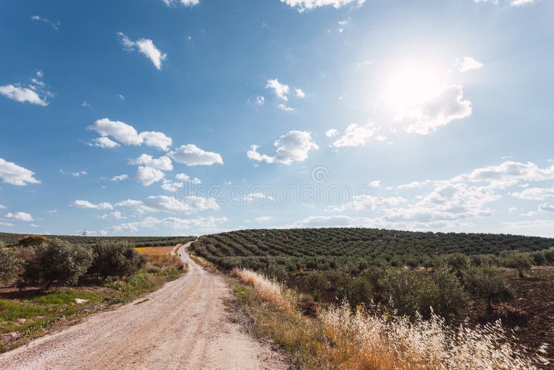 Path in the Spanish Countryside. Stock Image - Image of quiet, empty ...
