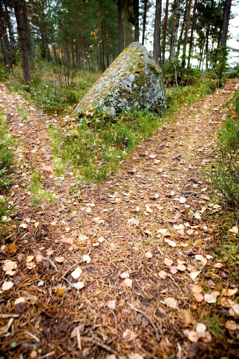 898 Trail Path Split Stock Photos - Free & Royalty-Free Stock Photos ...