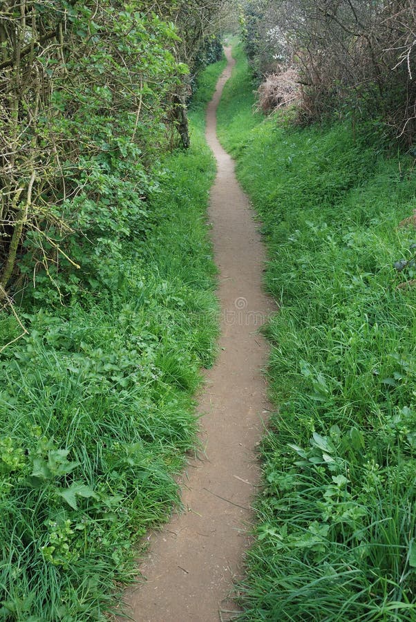 Path at spring stock image. Image of springtime, landscape - 19543633