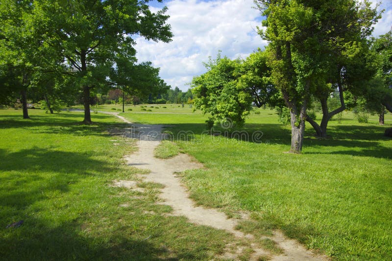 Path in Spring Park among Green Trees. Stock Image - Image of bench ...