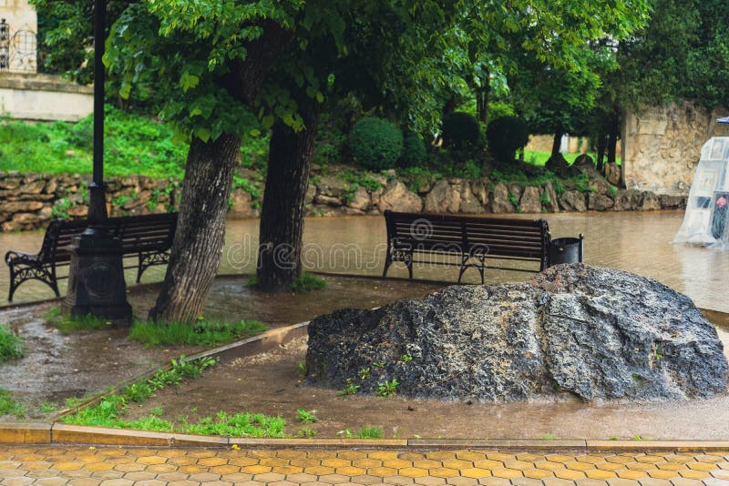 Rain on the path stock photo. Image of path, nature - 101696690