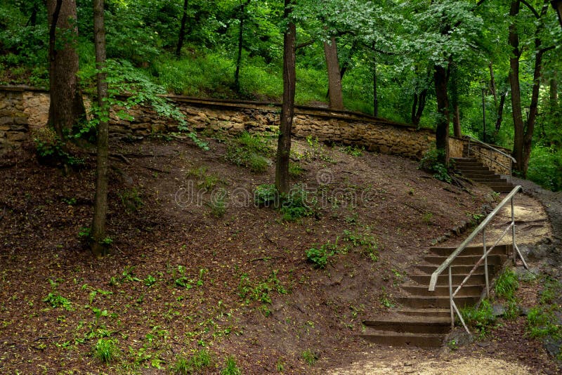 The Path in the Spring Park. after the Rain Stock Image - Image of road ...
