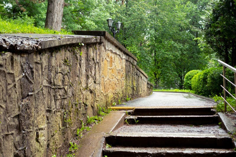 Rain on the path stock photo. Image of path, nature - 101696690