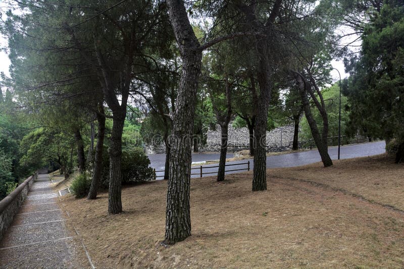 Path and Staircase in a Park Next To a Paved Road Stock Photo - Image ...