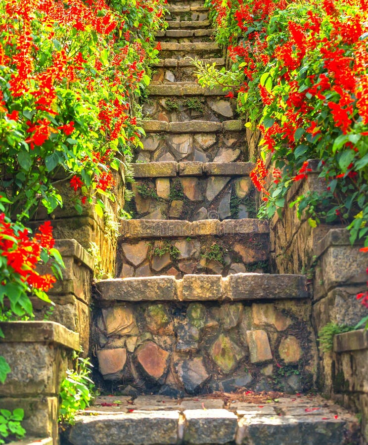Path Stairs Beautifully Decorated Flowers Stock Image - Image of botany ...