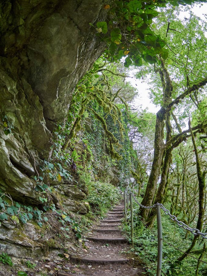 Path with Steps Carved into a Sheer Cliff Stock Photo - Image of ...