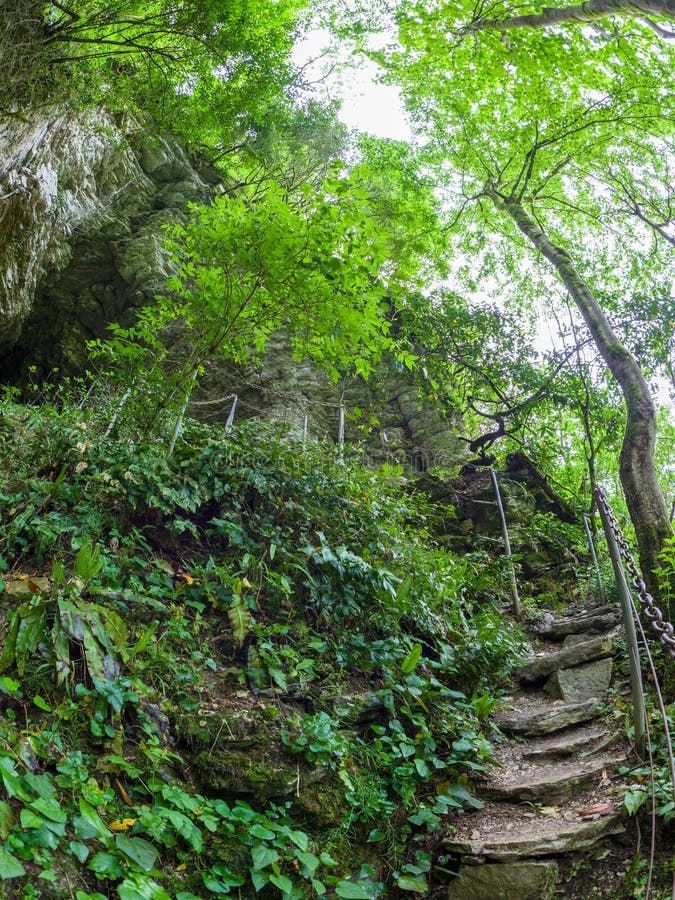 Path with Steps Carved into a Sheer Cliff Stock Photo - Image of ...