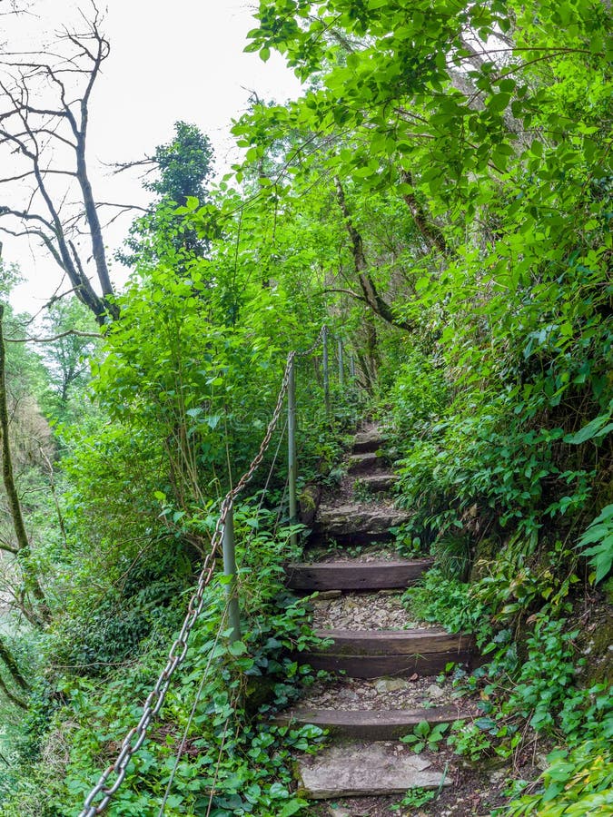 Path with Steps Carved into a Sheer Cliff Stock Photo - Image of ...