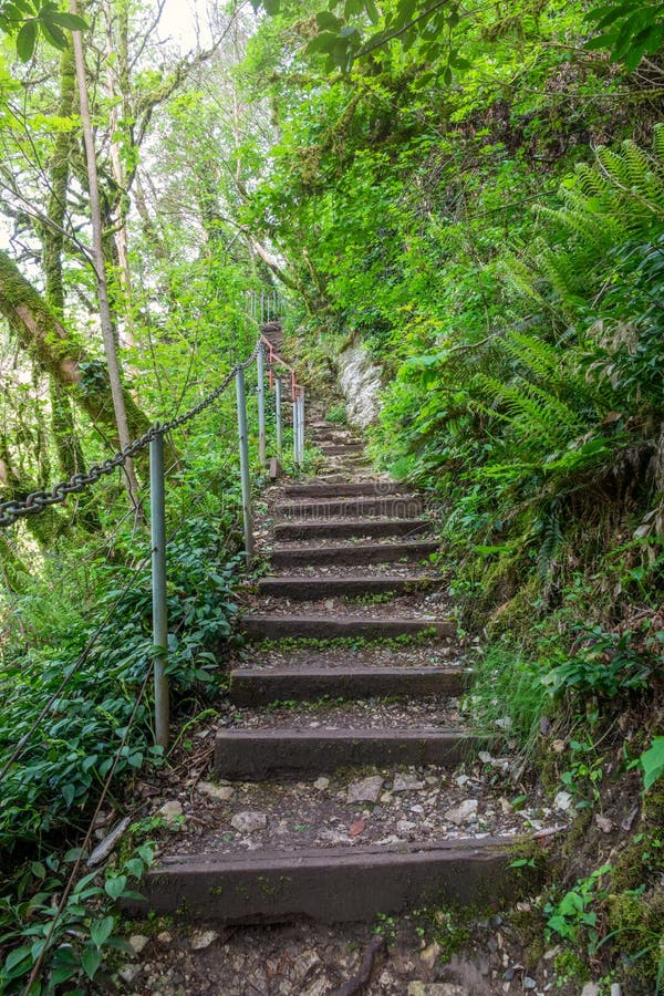Path with Steps Carved into a Sheer Cliff Stock Image - Image of hike ...