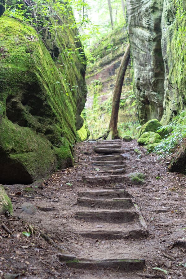 Path Steps stock photo. Image of lake, river, canyon - 137265848