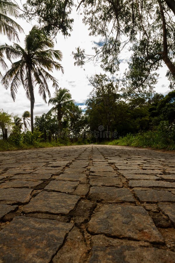 Path with Stone Blocks. Old Road Surrounded by Tropical Trees Stock ...