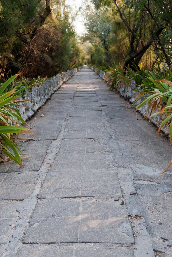 A Path of Stone Slabs among Bushes and Trees Stock Photo - Image of ...