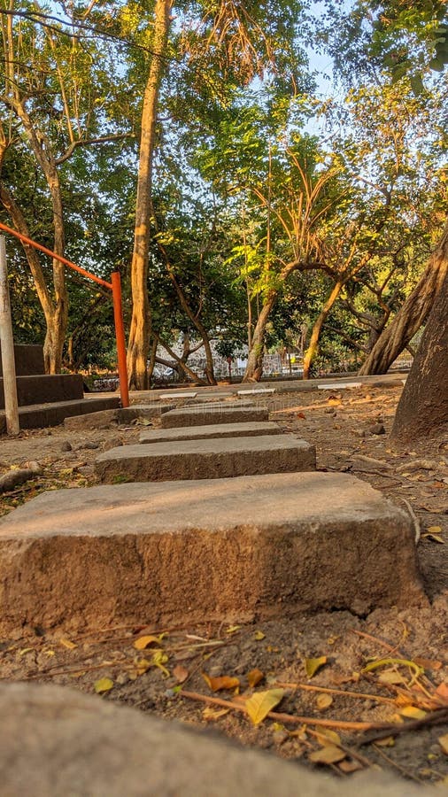 A Path of Stone Steps Leads through a Park with Tall Trees and Green ...