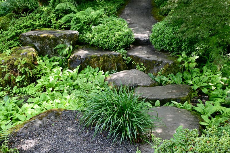 Path with Stone Steps Over Small Brook Stock Photo - Image of path ...