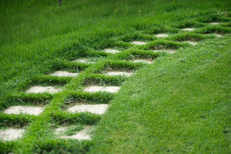 Path of Stone Tiles, Laid on the Lawn-2. Stock Image - Image of path ...