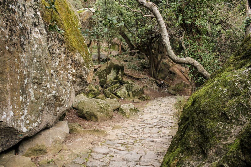 The Path between the Stones Stock Image - Image of famous, garden ...